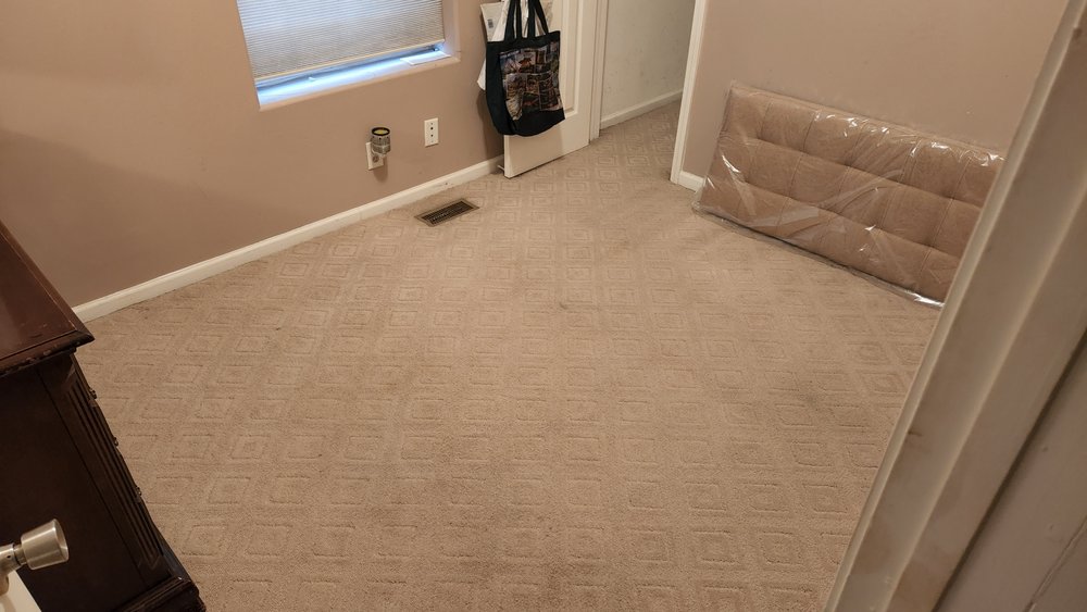 CHICAGO CARPET REVIVAL - Updated December 2025 - 49 Photos - Chicago ...