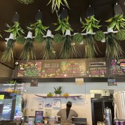MIGHTY PURPLE CAFE - 102 Photos & 38 Reviews - 173 Aspinall Avenue ...