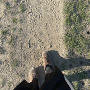 HULDA CROOKS PARK - 134 Photos & 52 Reviews - 25701-25757 Canyon Rd ...