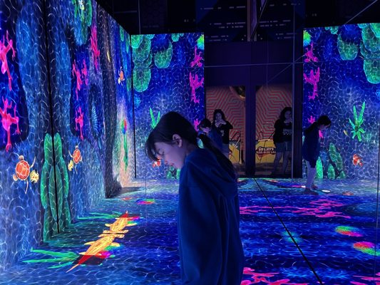 RIPLEY’S ILLUSION LAB - Updated December 2025 - 46 Photos & 10 Reviews - 917 North Ocean Blvd ...