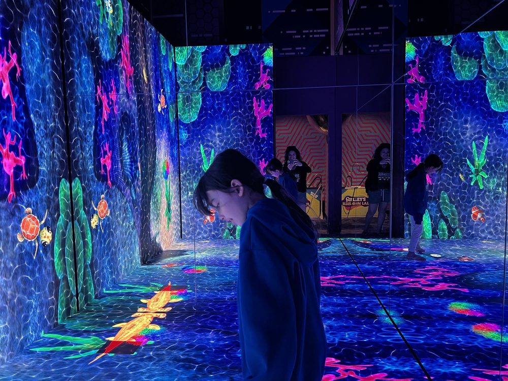 RIPLEY’S ILLUSION LAB - Updated July 2024 - 31 Photos - 917 North Ocean Blvd, Myrtle Beach ...