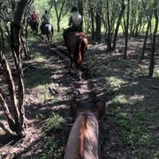 WESTCREEK TRAIL RIDES - 68 Photos & 60 Reviews - Horseback Riding ...