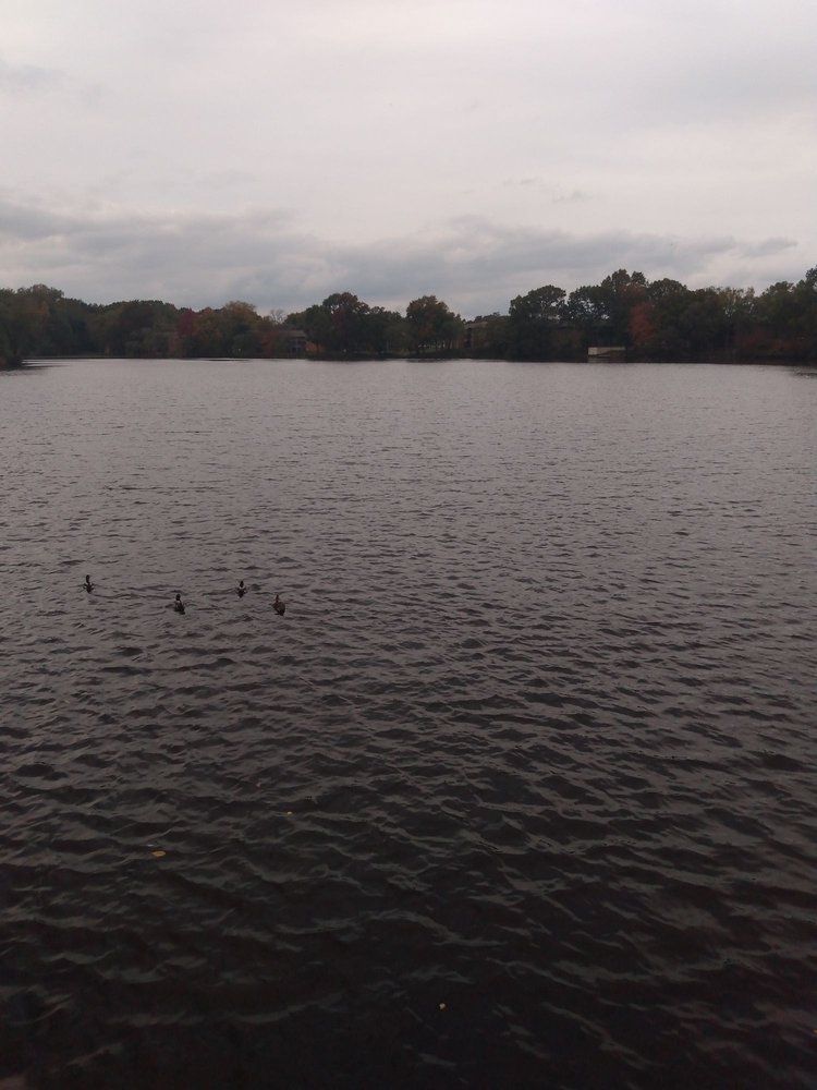 SILVER LAKE PARK - Updated September 2024 - 29 Photos - 300 Washington ...