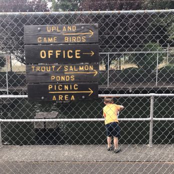 WILLAMETTE FISH HATCHERY - Updated October 2025 - 16 Photos - 76389 ...