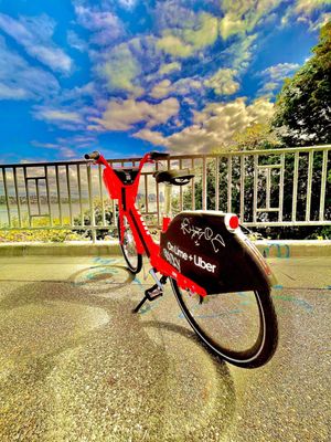 HAMILTON VIEWPOINT PARK - Updated April 2025 - 152 Photos & 39 Reviews ...