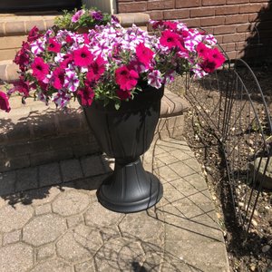 PAT’S FARMS GARDEN CENTER - Updated May 2025 - 55 Photos - 1126 Merrick ...