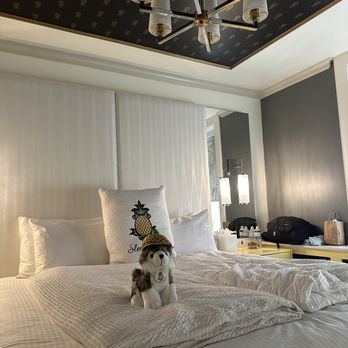 STAYPINEAPPLE, A DELIGHTFUL HOTEL, SOUTH END - Updated December 2025 ...