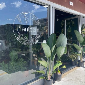 PLANTOEM - Updated November 2024 - 523 Photos & 109 Reviews - 3457 ...