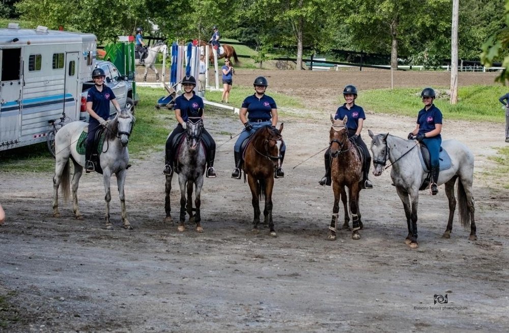 PHOENIX STABLES - Updated December 2025 - 14 Photos - 381 Rang de ...