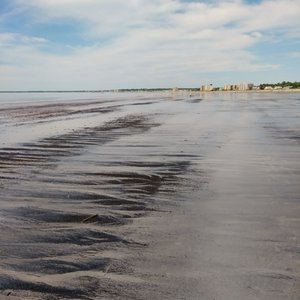 FORTUNE’S ROCKS BEACH - 39 Photos - Fortunes Rocks Rd, Biddeford, ME - Yelp