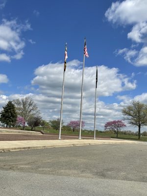 CHELTENHAM VETERANS CEMETERY - Updated January 2026 - 28 Photos - 11301 ...