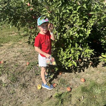 STUCKEY FARM ORCHARD AND CIDER MILL - Updated December 2025 - 195 ...