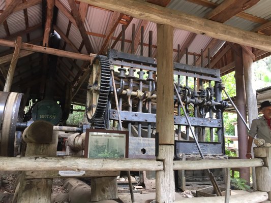 THE ORIGINAL GOLD RUSH COLONY - 17 Photos - 26 James St, Mogo New South ...