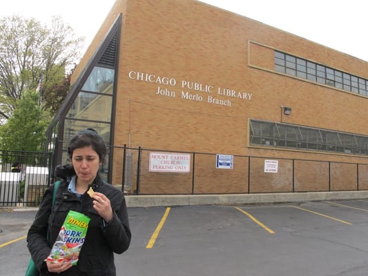 CHICAGO PUBLIC LIBRARY - MERLO - Updated December 2025 - 21 Photos & 95 ...