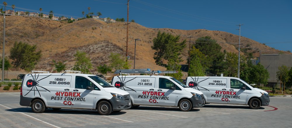HYDREX PEST CONTROL - Updated January 2026 - 13 Photos & 48 Reviews ...