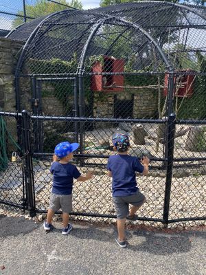 PHILLIPS PARK ZOO - 184 Photos & 85 Reviews - 1000 Ray Moses Dr, Aurora ...