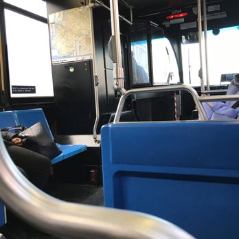 MTA BUS B83 BM5 - Updated August 2025 - 264 Vandalia Ave, Brooklyn, New ...