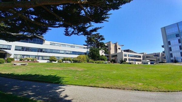 SAN FRANCISCO STATE UNIVERSITY - 333 Photos & 312 Reviews - 1600 ...