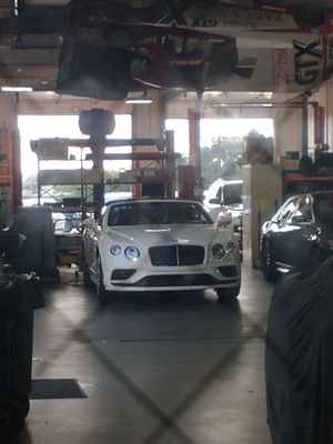 TASCA AUTOMOTIVE GROUP - Updated July 2025 - 199 Photos & 255 Reviews ...