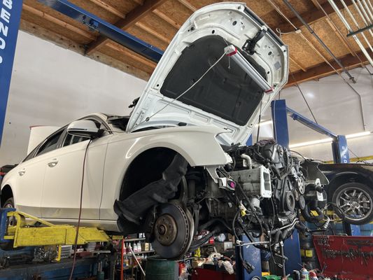 CERTIFIED JAPANESE AUTO REPAIR - Updated January 2026 - 45 Photos & 175 ...