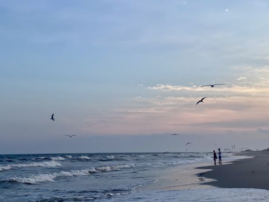 LIDO BEACH AT TOWN PARK - Updated October 2025 - 101 Photos & 60 ...