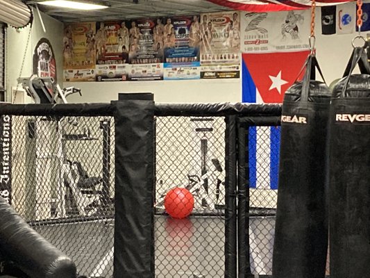 THE COMPOUND MMA & FITNESS GYM - Updated October 2025 - 36 Photos ...
