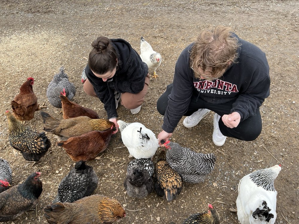 THE ROOT FARM - Updated November 2025 - 2860 King Rd, Sauquoit, New ...