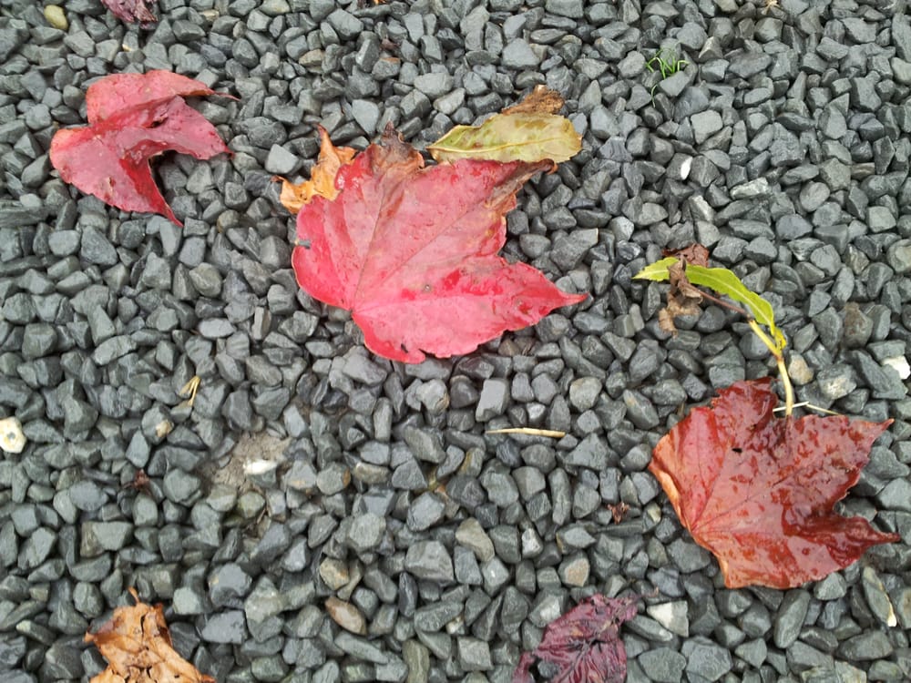 LA VIEILLE ABBAYE - 18 Photos - La Vieille Abbaye, Barbery, Calvados ...