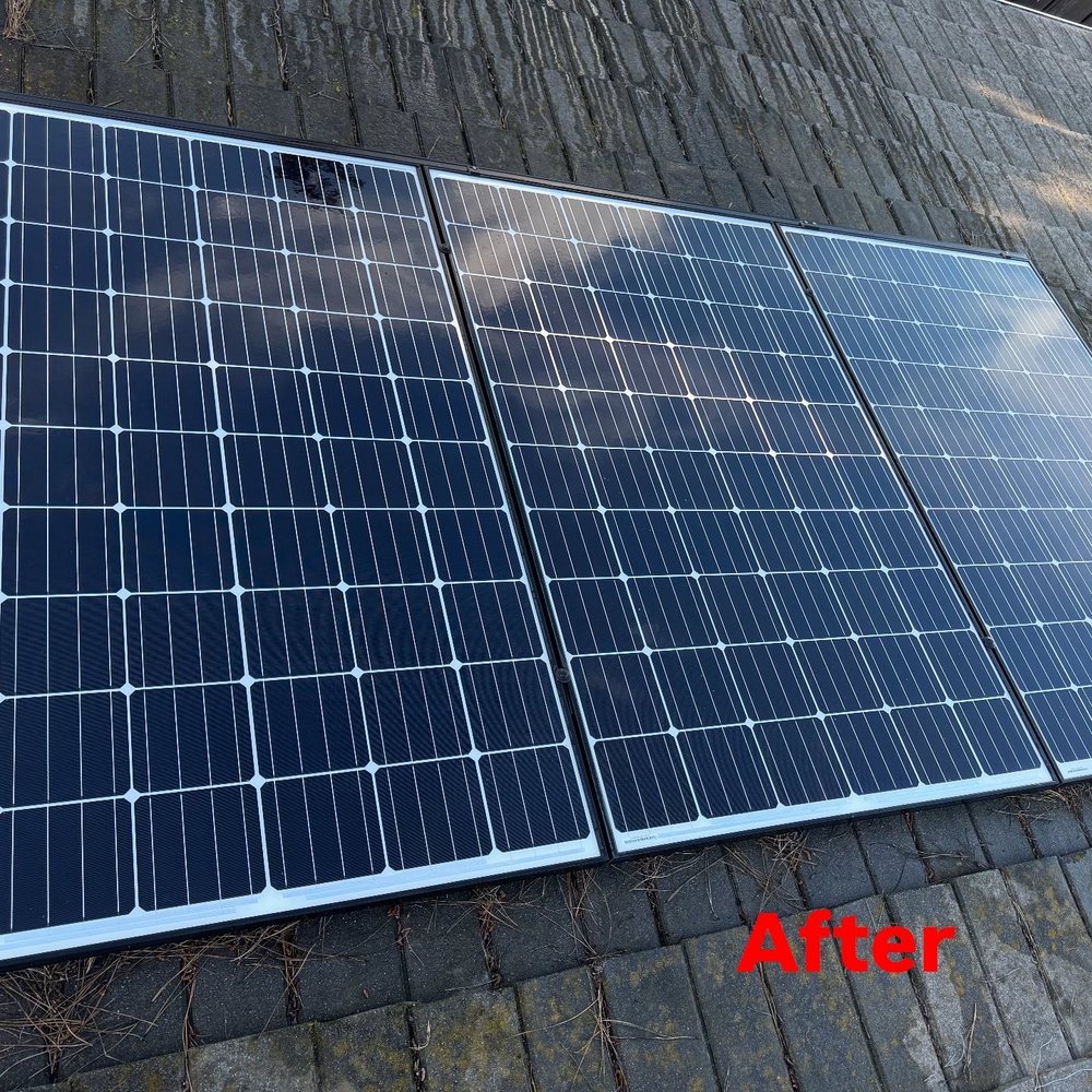 SUNCLEAR WINDOW AND SOLAR CLEANING - Updated August 2025 - 10 Photos ...