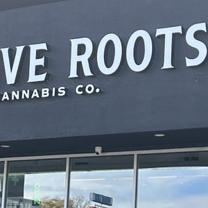 NATIVE ROOTS - Updated October 2025 - 25 Reviews - 500 Grant St, Denver ...