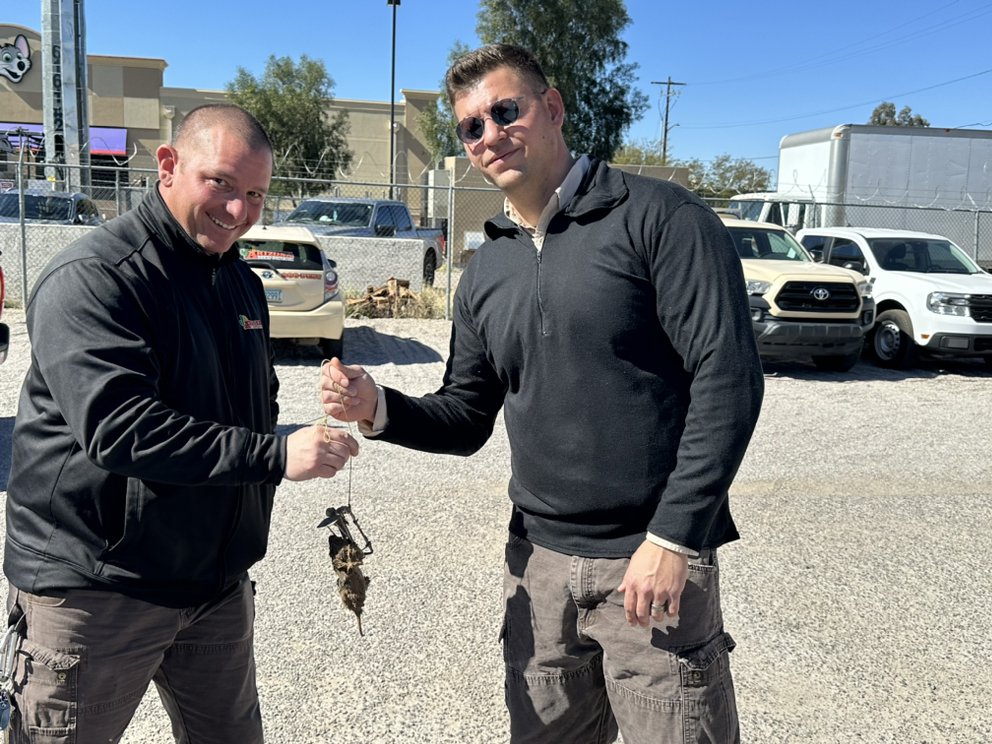 ARIZONA PEST CONTROL COMPANY - Updated November 2025 - 100 Photos & 130 ...