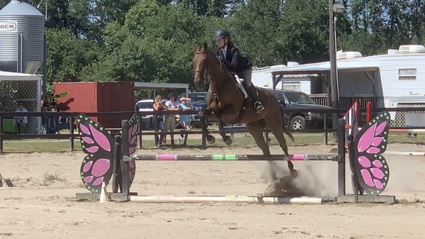 HANOVER STABLES - 5901 Bizzel Ave, Castle Hayne, North Carolina - Horse ...