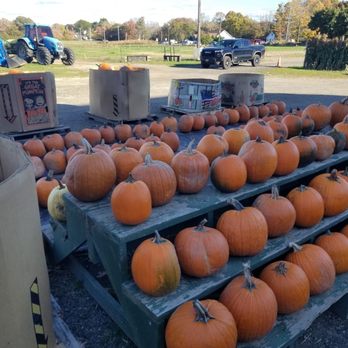 SALISBURY FARM - Updated January 2026 - 103 Photos & 37 Reviews - 11 ...