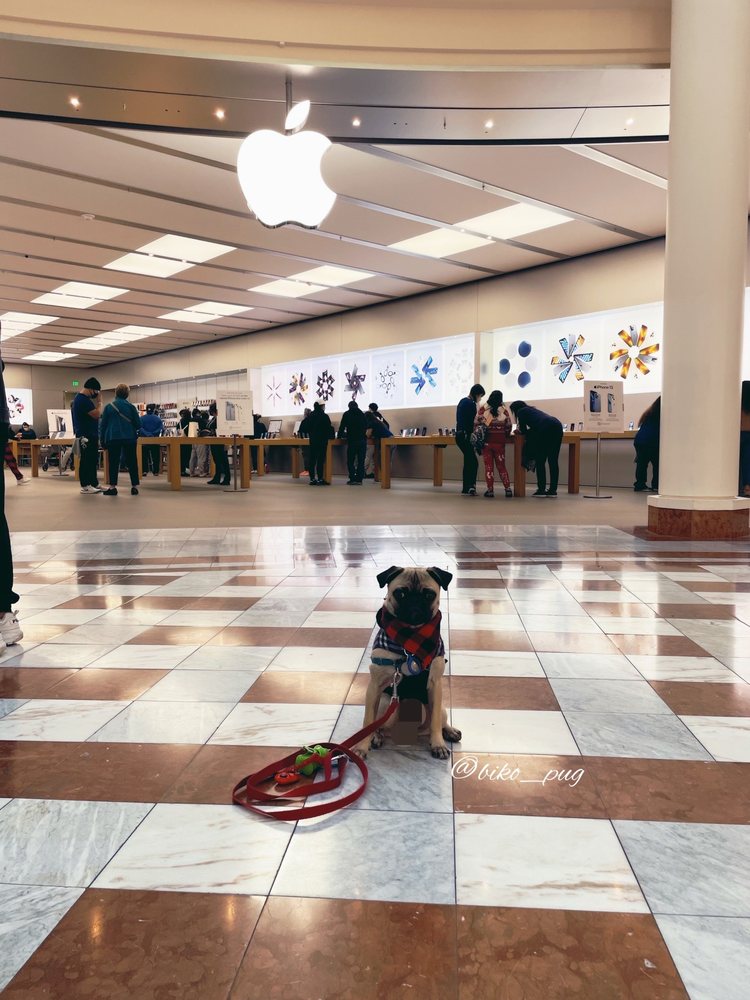 APPLE STONESTOWN - 128 Photos & 691 Reviews - 3251 20th Ave, San ...