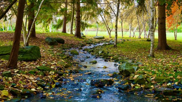 CASTLE PARK - Updated October 2025 - 24 Photos - 17519 Lincoln Rd ...