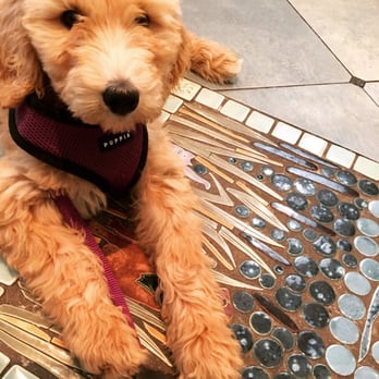 TWO RIVERS ANIMAL HOSPITAL - Updated December 2025 - 21 Photos & 26 ...