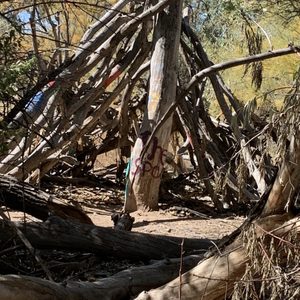 CAPULIN SNOW PLAY AREA - 26 Photos - R 536, New mexixo, New Mexico - Yelp