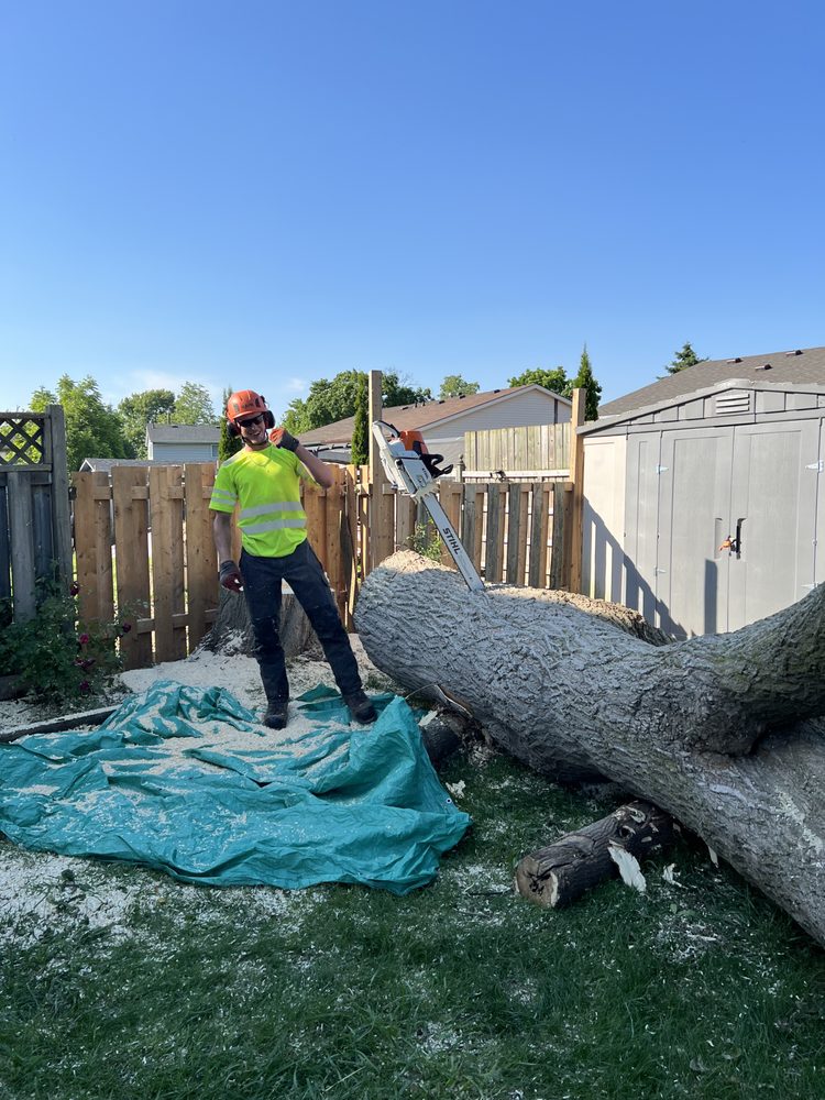 RIVER OAK TREE SERVICE - Updated January 2025 - Request a Quote - 34 ...