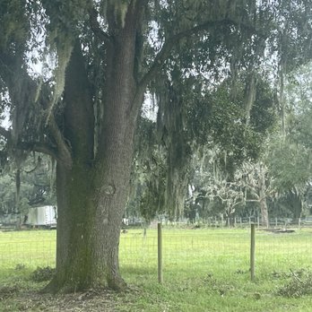 DIAMOND D RANCH - Updated December 2025 - 64 Photos & 22 Reviews - 5903 ...