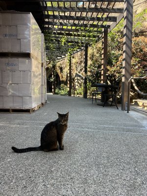 REPRIS WINES - Updated August 2025 - 168 Photos & 85 Reviews - 1700 ...