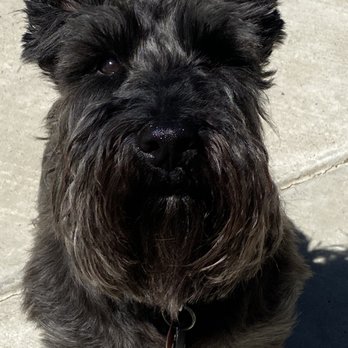 LONE TREE ANIMAL CARE - Updated August 2024 - 116 Photos & 175 Reviews ...