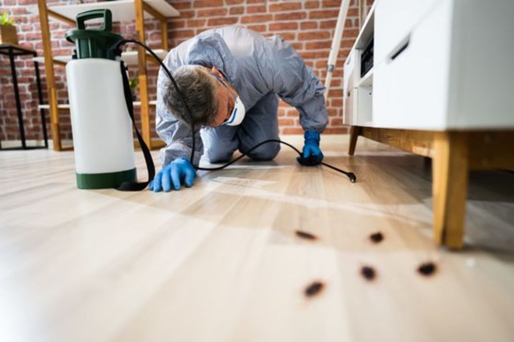 TOTAL PEST ELIMINATION - Updated December 2025 - Request a Quote - 15 ...