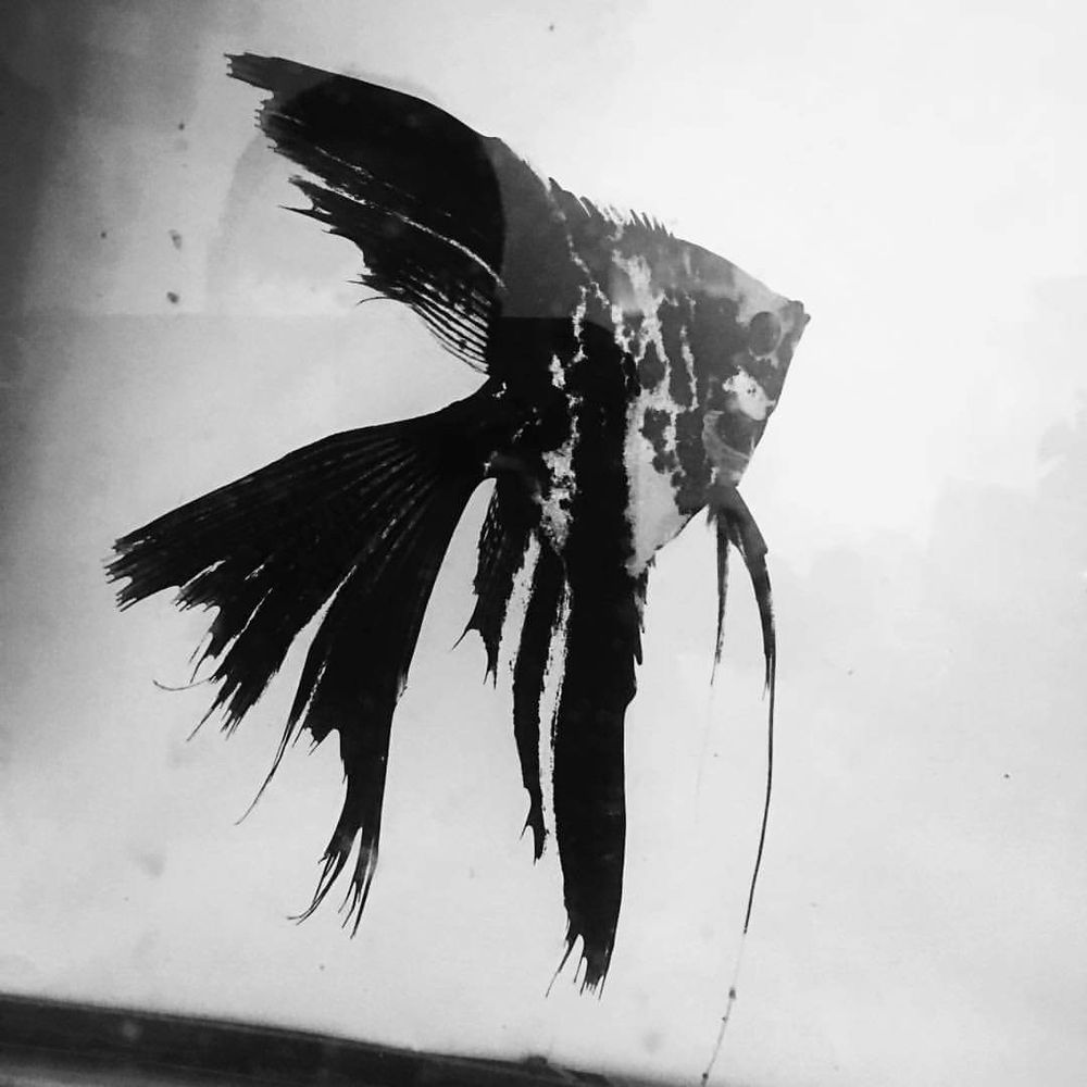 FASTRIP FOOD STORES - 14 Photos & 10 Reviews - 3701 Ming Ave ...