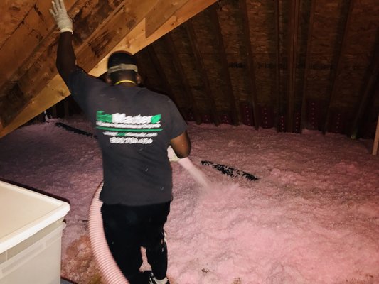 ECOMASTER - Updated October 2025 - 75 Photos - 2921 Glade Aster Ct ...