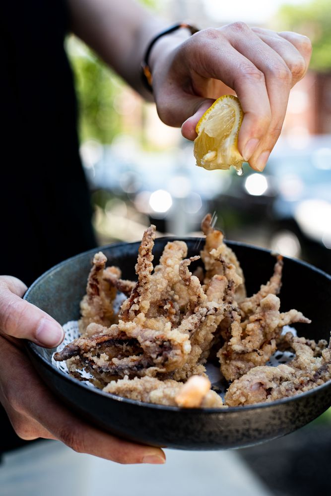 THE SPOT MINI - Updated June 2024 - 146 Photos & 66 Reviews - 4209 Knox ...