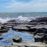 SACHUEST POINT NATIONAL WILDLIFE REFUGE - 151 Photos & 54 Reviews - 769 ...