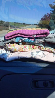 MARINA BRANCH LIBRARY - Updated January 2026 - 20 Photos & 19 Reviews ...