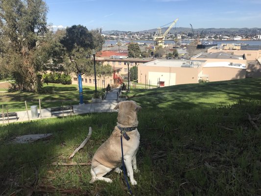 TOURO UNIVERSITY CALIFORNIA - Updated January 2026 - 27 Photos & 19 ...