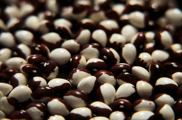 SALT SPRING SEEDS - Updated February 2025 - 18 Photos - Box 444, Ganges ...