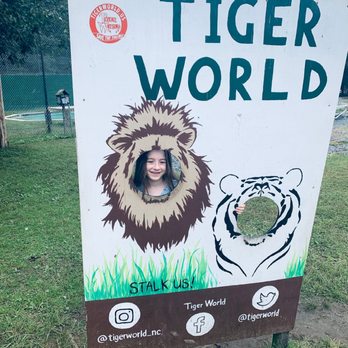 TIGER WORLD - Updated May 2024 - 390 Photos & 107 Reviews - 4400 Cook ...